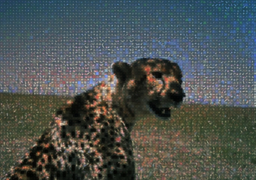 A cheetah made from galaxies | Snapshot Serengeti