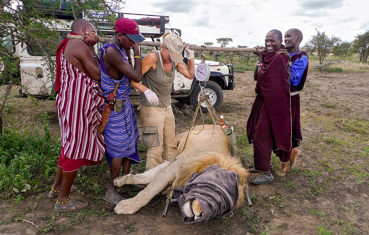Meet the People #2 | Snapshot Serengeti