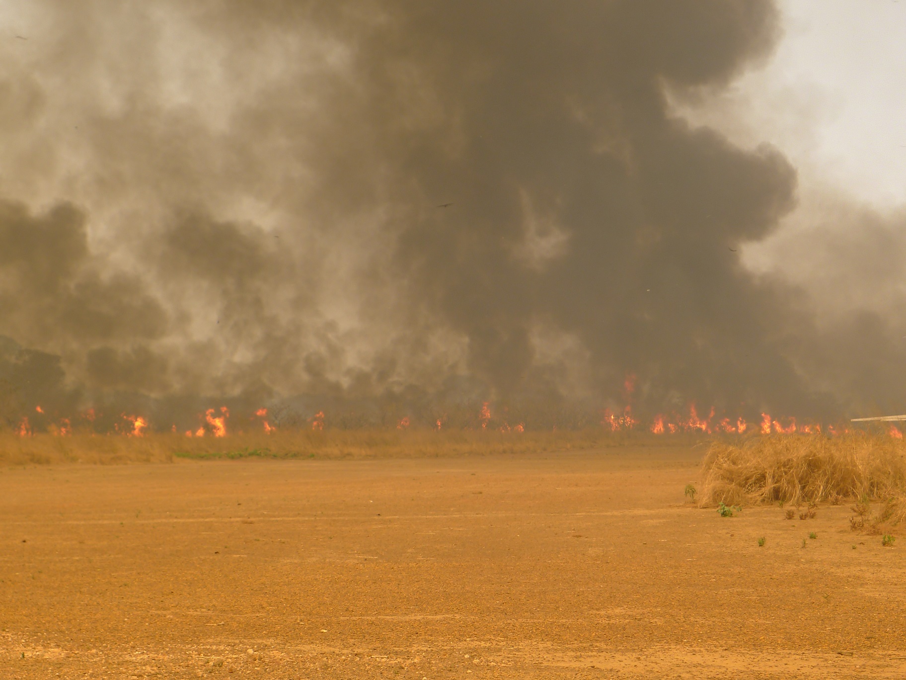 Dante’s Inferno; Savannah Fire | Snapshot Serengeti