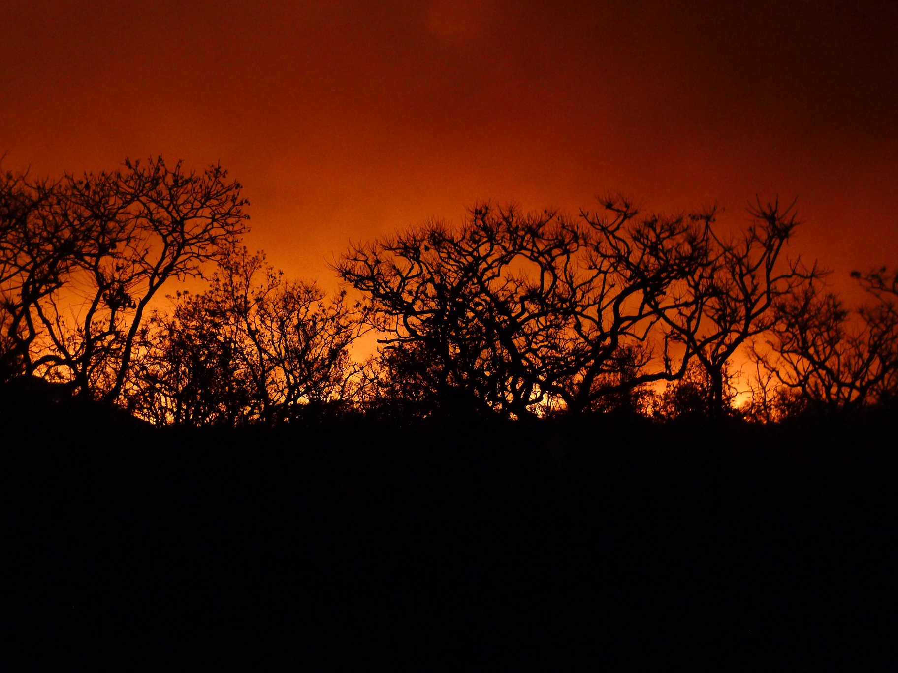 Dante’s Inferno; Savannah Fire | Snapshot Serengeti